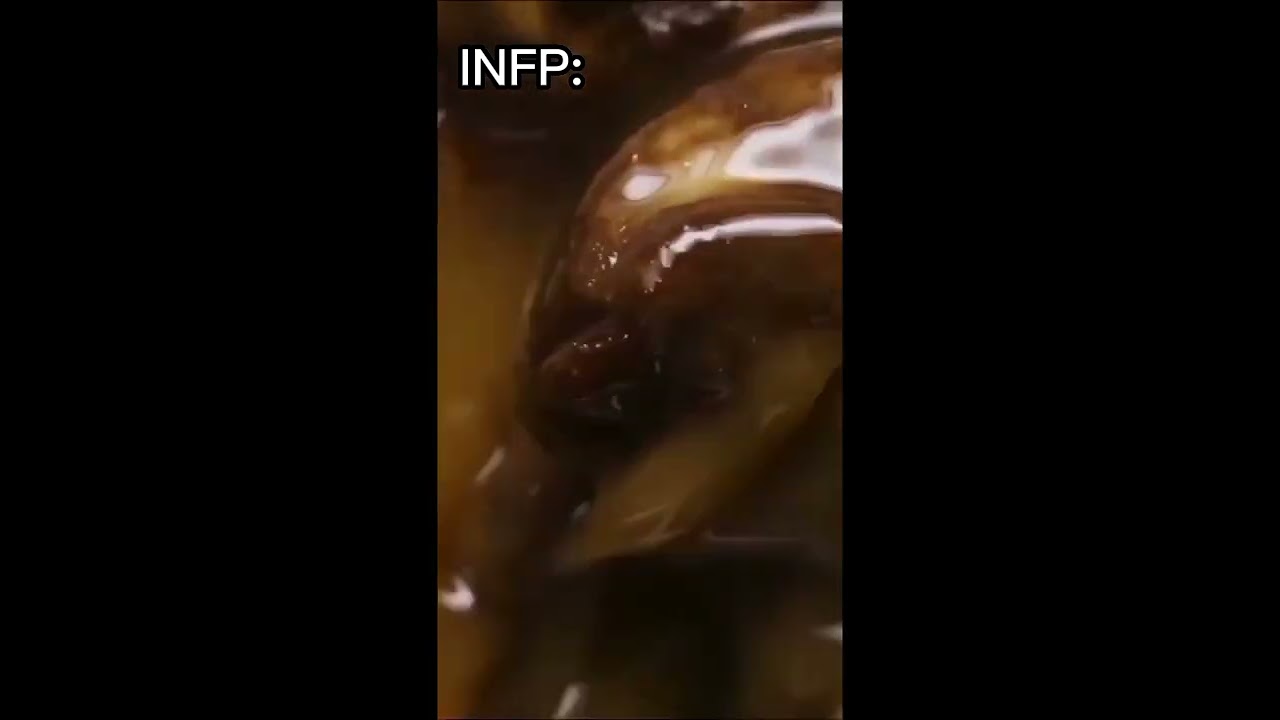 Mbti Meme (INFP X ENFJ)