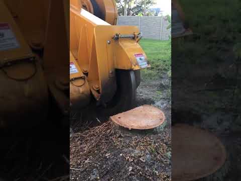 Satisfying stump grind