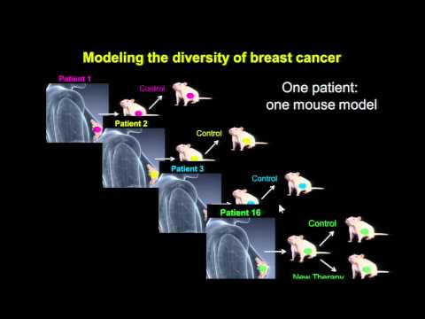 Thomas "Trey" Westbrook, Ph.D., on New Addictions in Cancer: from Discovery to Therapeutics