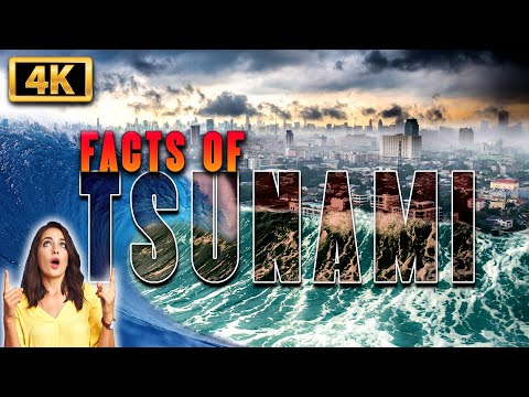 Incredible Facts About Tsunamis [4k]