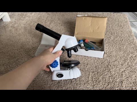 Review of My First Lab’s MFL-20 Mini Microscope for Kids
