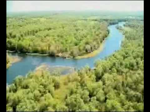Wonders of the Billabong
