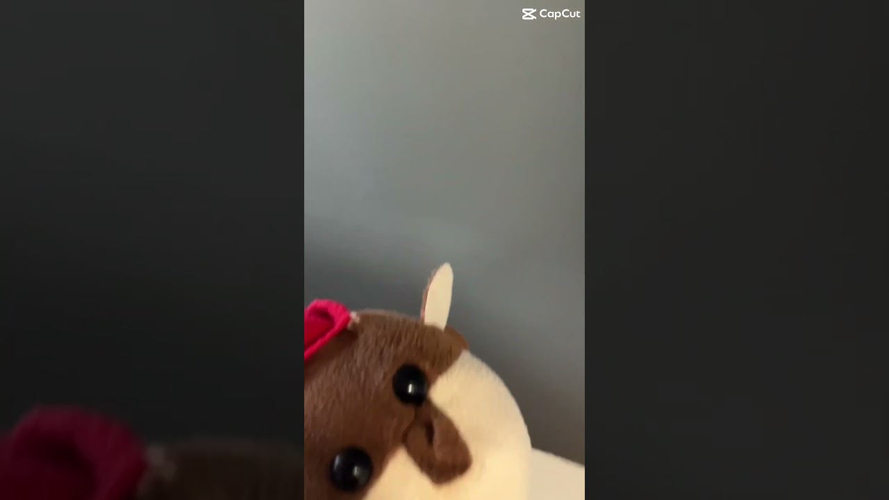 EXPLODING MONKEY SADNESS