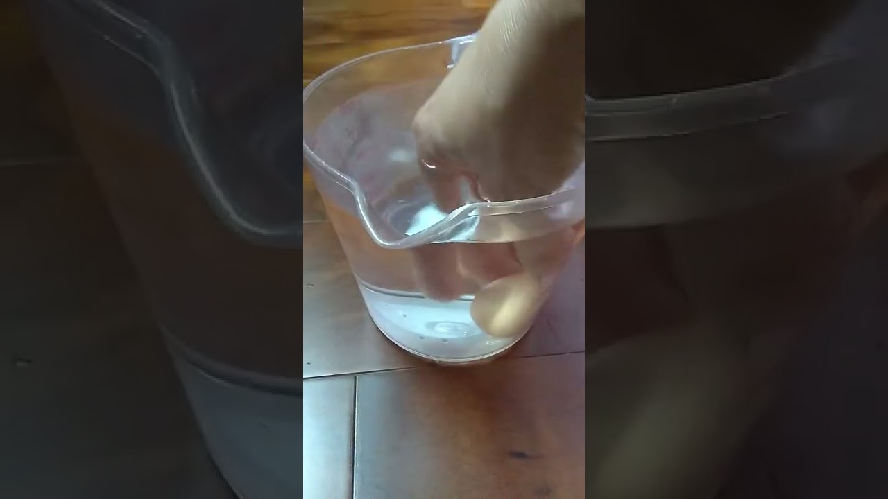 Testing Egg Freshness with the Egg Float Test