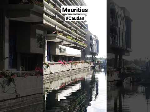 A short glimpse of the beauty of Caudan Waterfront in Mauritius #mauritius #travelmauritius