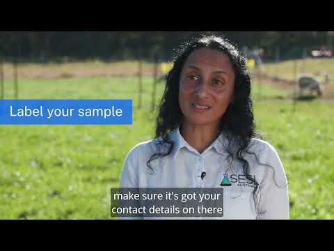 How to take a soil test