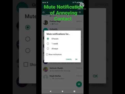 Mute Notification WhatsApp | Mute any contact on WhatsApp