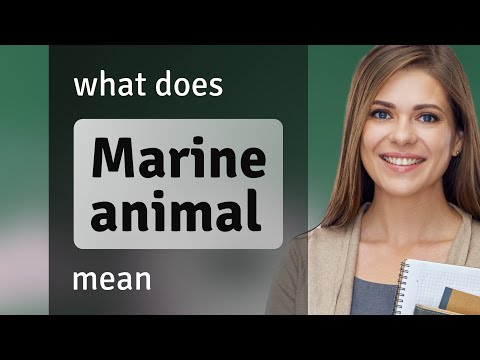 Marine animal — what is MARINE ANIMAL definition