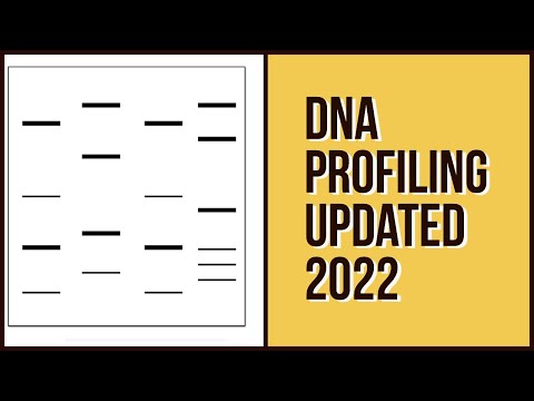 DNA Profiling-Updated 2022-Leaving Cert Biology