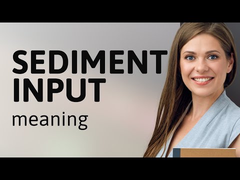 Understanding "Sediment Input": A Guide for English Learners