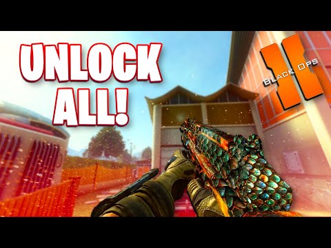 HOW TO GET MAX LEVEL AND UNLOCK ALL IN BLACK OPS 2 PLUTONIUM