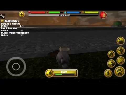 Stray cat simulator (GLUTEN FREE GAMES)