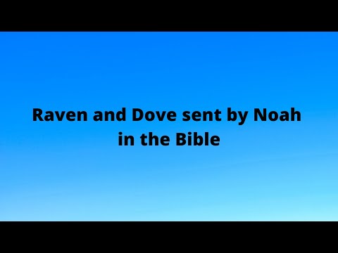 What do the Raven and the Dove sent by Noah in the Bible mean for you? Genesis 8 explained