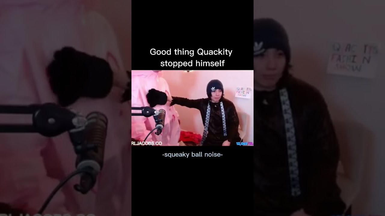 yt5s com Good thing Quackity stopped himself