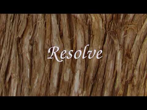 Resolve ~ quadrille ~ video poem | rivrvlogr