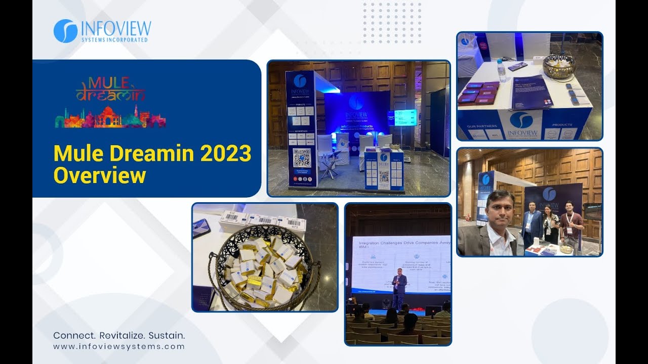 MuleDreamin 2023 Highlights