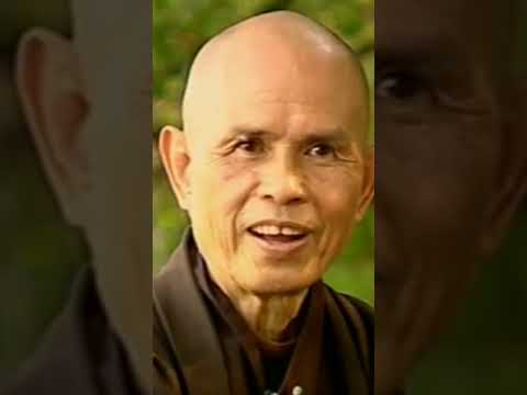 What is Karma | Thich Nhat Hanh | Plum Village #Shorts