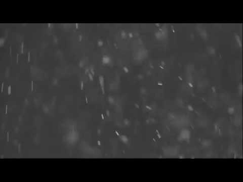 Riot - Three Days Grace - lyrics - (request)