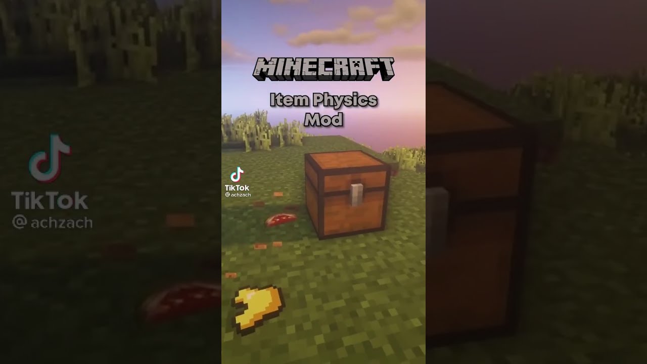 Minecraft Item Physics Mod!