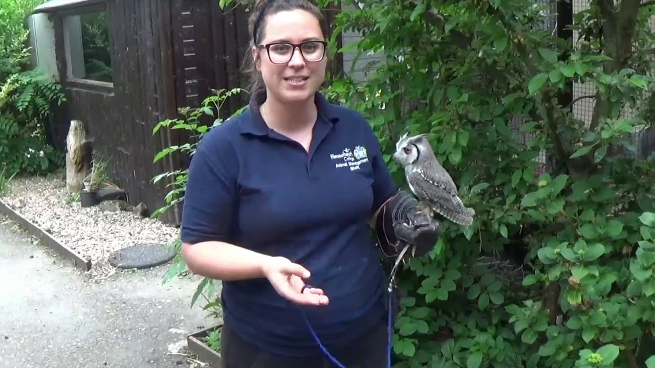 Reaseheath Masterclasses: Animal Management - An introduction to the Animal Management course