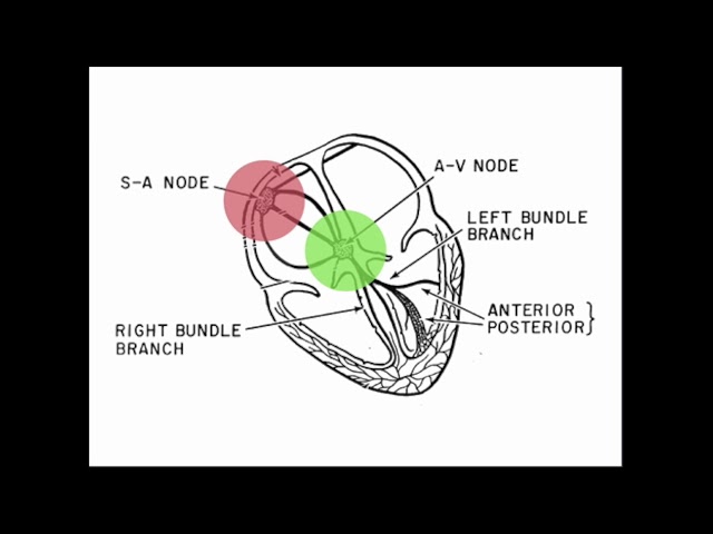 Grand Rounds – Page 8 – LA General + USC EM