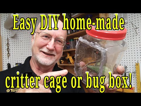 How to make the best DIY bug box or critter cage at practically no cost! Easy craft project!