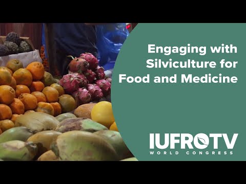 Engaging with Silviculture for Food and Medicine