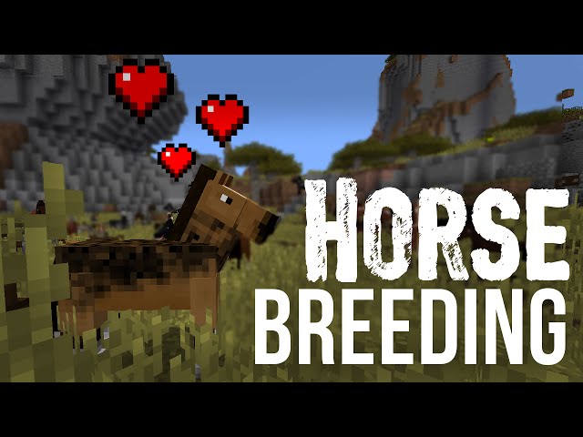 How to Breed Donkeys in Minecraft