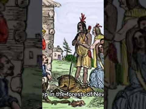 Coureurs de Bois – Independent fur traders who operated outside official licenses.