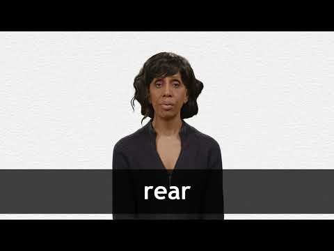 REAR definição e significado | Dicionário Inglês Collins