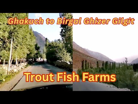 Exploring the Ghakuch Birgal Trout Fish Farm Ghizer Gilgit