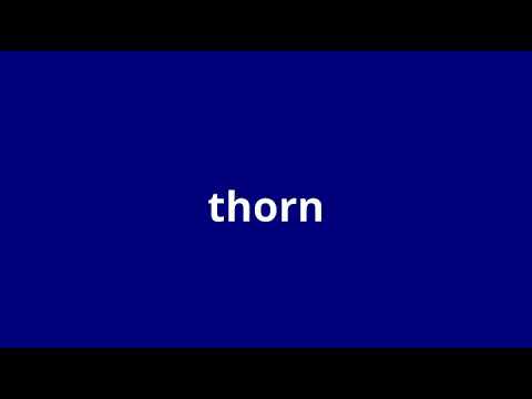 what is the meaning of thorn.