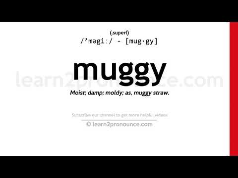 Pronunciation of Muggy | Definition of Muggy