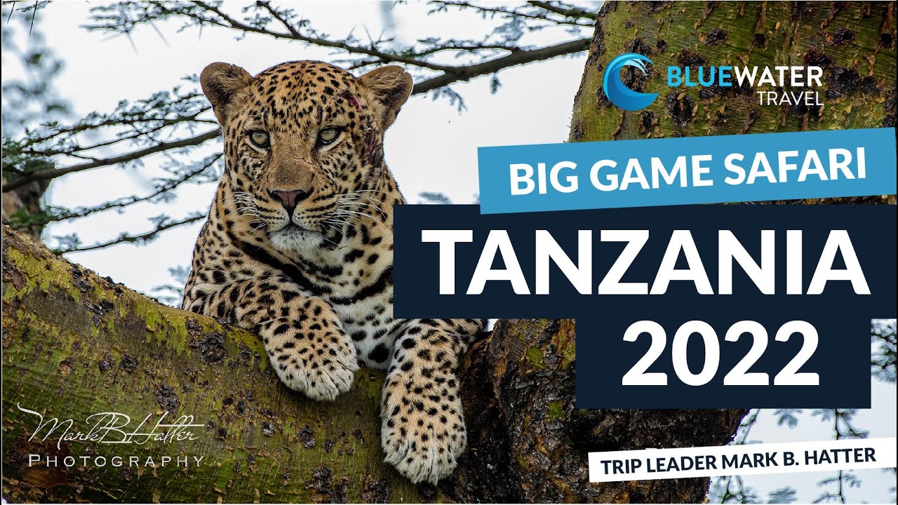 Bluewater Travel Tanzania Big Game Safari with Mark Hatter