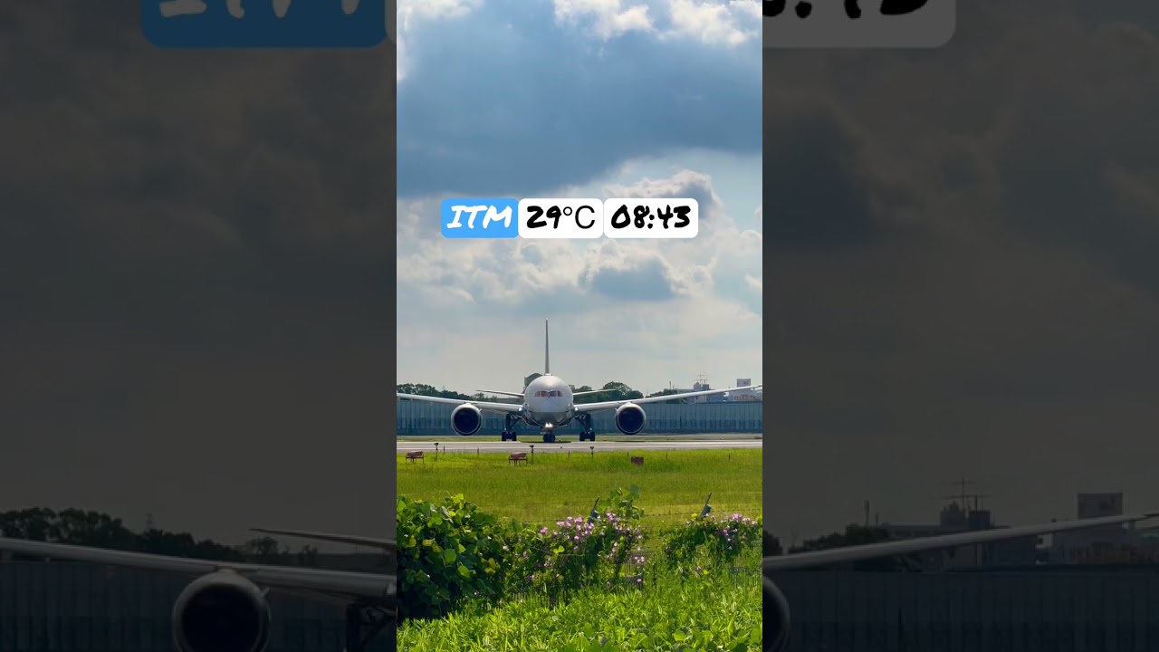 Boeing787 Dreamliner ANA The plane turns Osaka International Airport #ana #boeing787dreamliner #turn