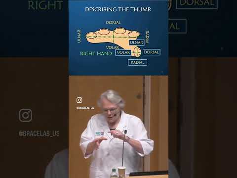 Did you know the thumb has a different axis than the hand?