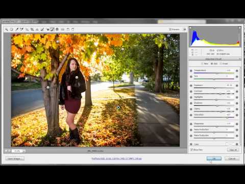 Simple Photoshop Post Processing