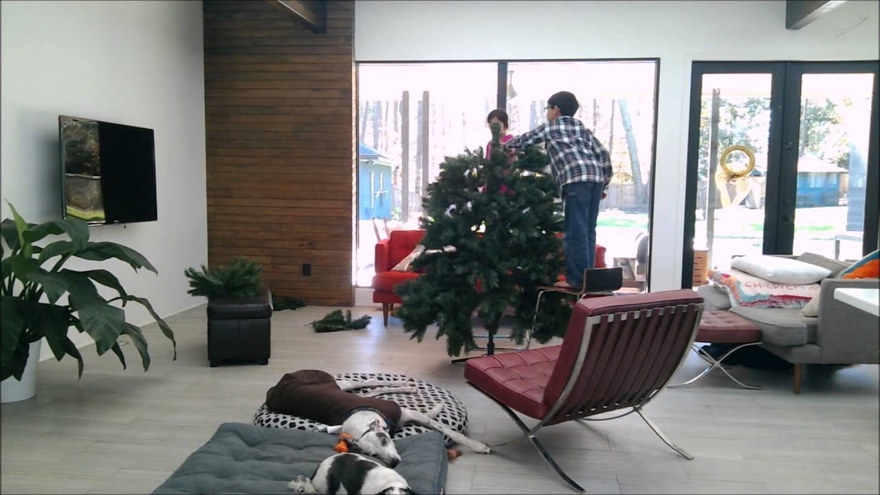 Christmas 2015 Timelapse 2