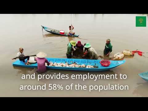 Role of Agriculture in Indian Economy