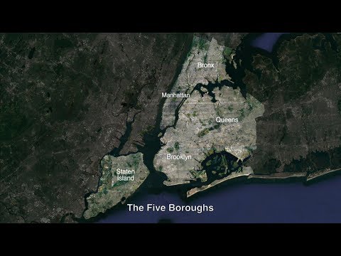 The New York City Evolution Animation
