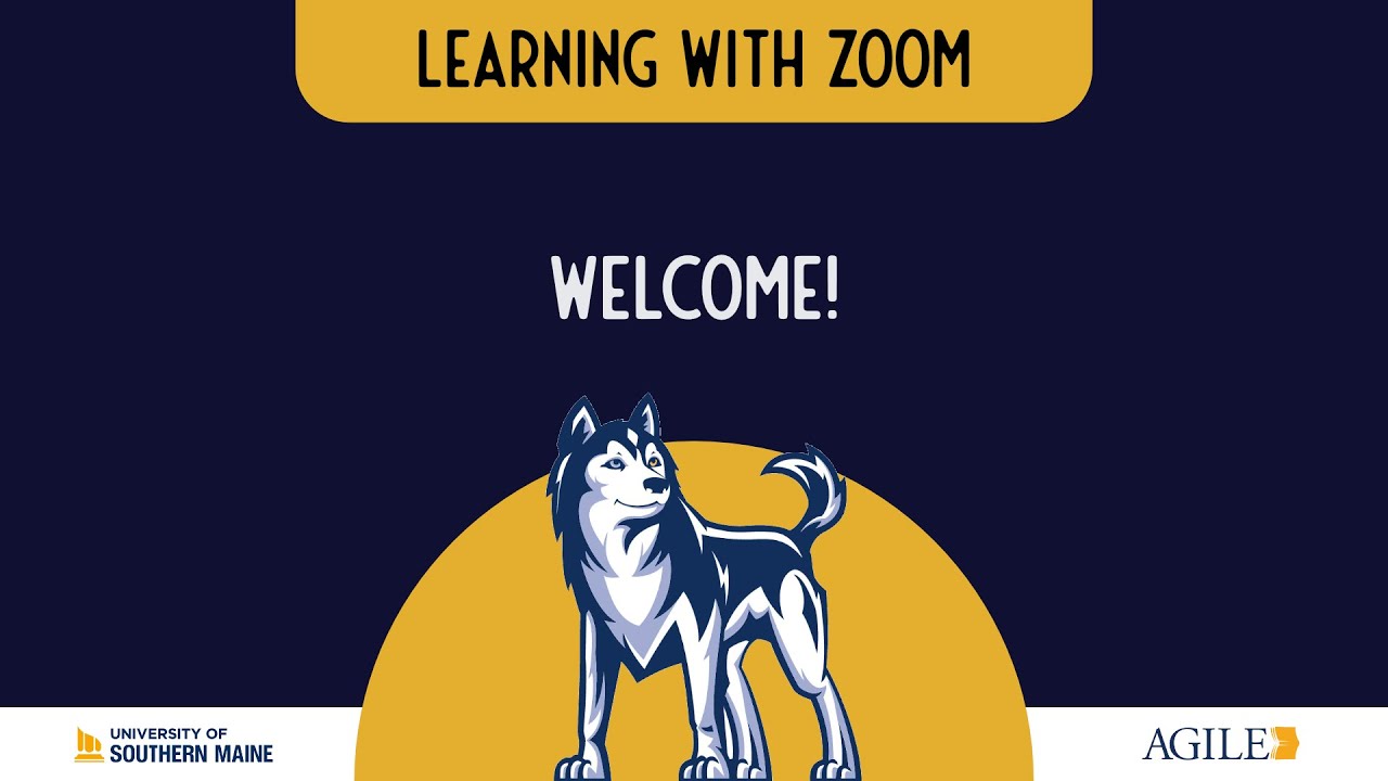 Welcome to Learning With Zoom