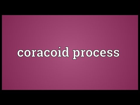 Coracoid process Meaning