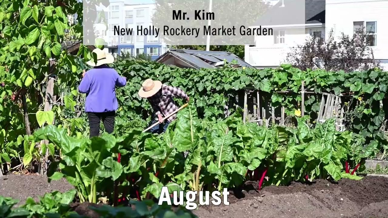 P-Patch Community Gardening Program - Culturally Relevant Gardening -Time Lapse - Summer 2021