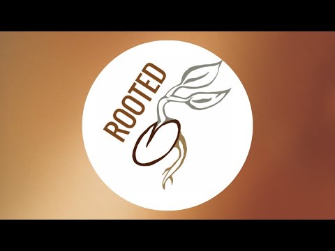 Gallup Rooted | What does it mean to be rooted in Christ?