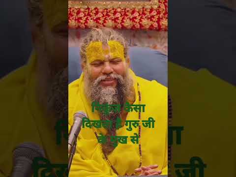 निकुंज कैसा है श्री गुरू जी ने वर्णन किया है #radhavallabhji #religion #vrindavan #radhe #shorts #