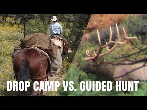 Drop Camps VS. Guided Hunts, Weighing The Options