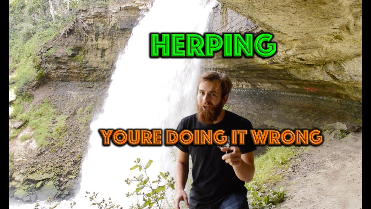 Mistakes That Herpers Make