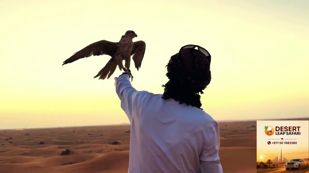 Desert Safari Dubai 2026 — Dune Bashing, Camel Ride & BBQ Dinner | Desert Leap Safari