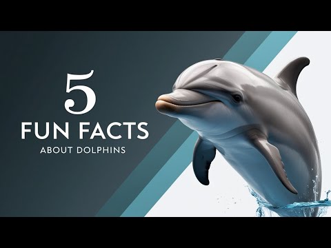 5 Fun Facts About Dolphins! 🐬#animals #dolphin