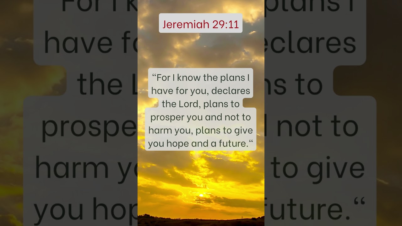 ♱ Jeremiah 29:11 (NIV): ♱